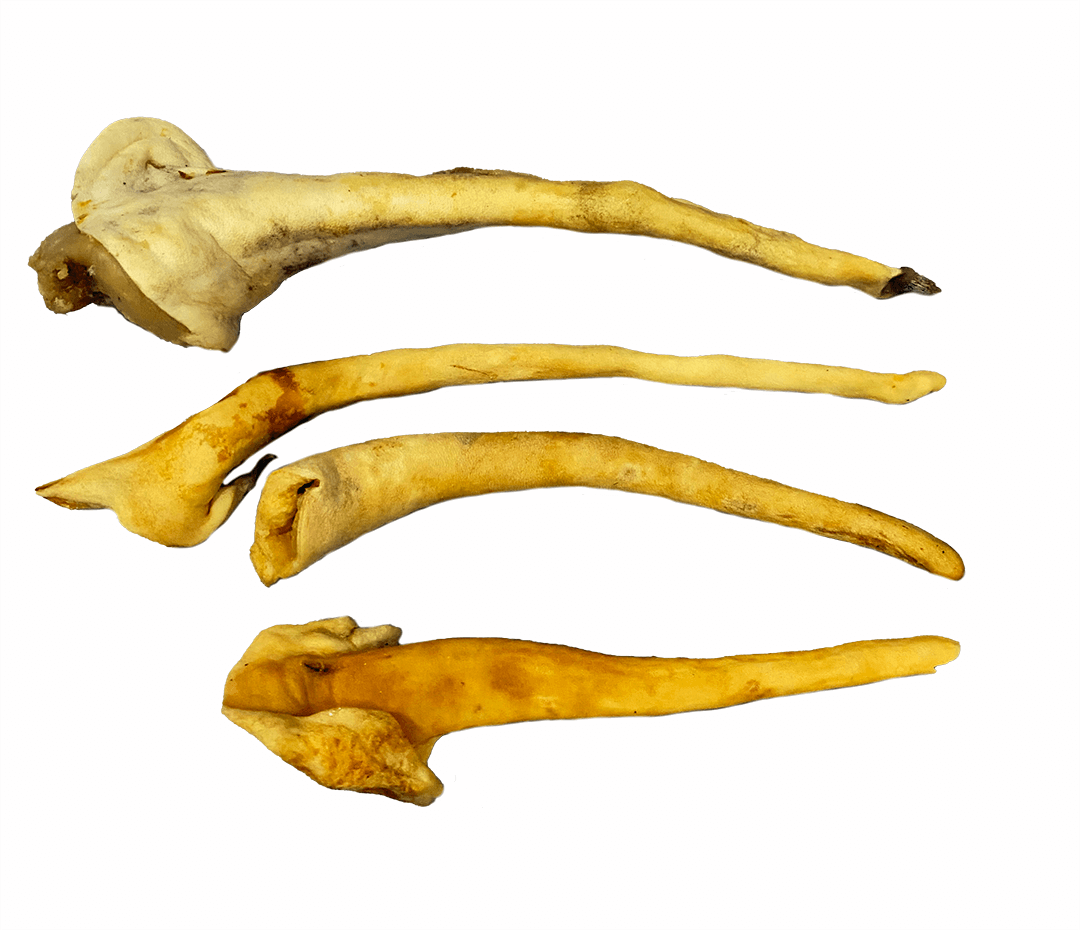 Lamb Tails 100g – Chow Paws Dog Treats Ltd